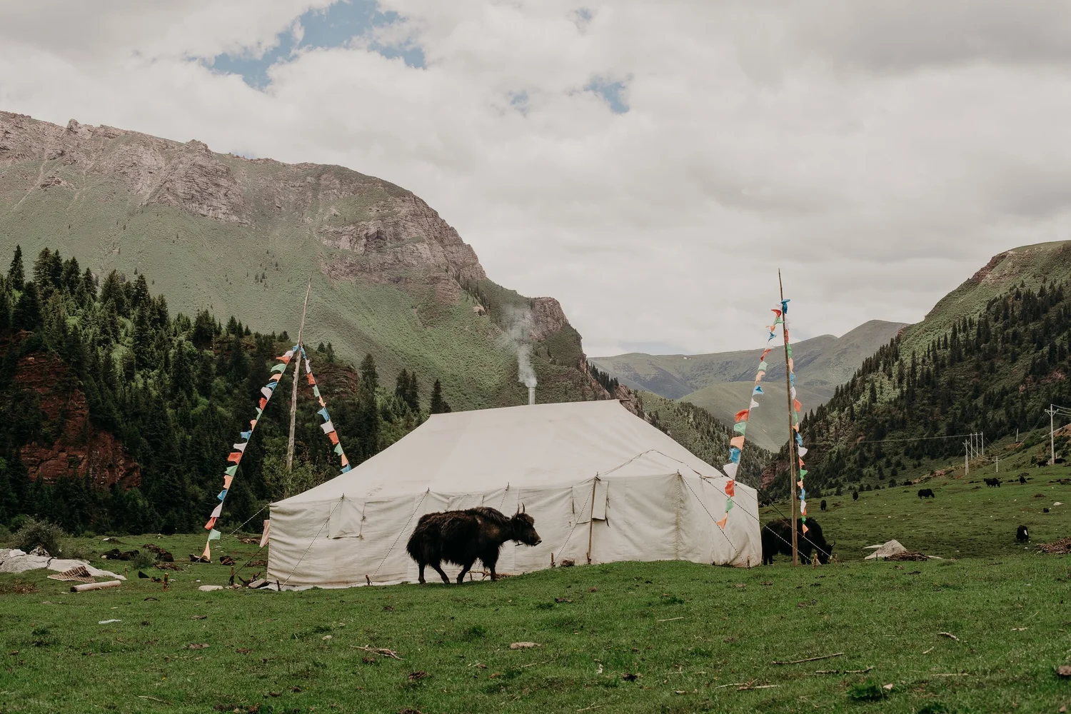 Ultra — Global Tribes Outreach