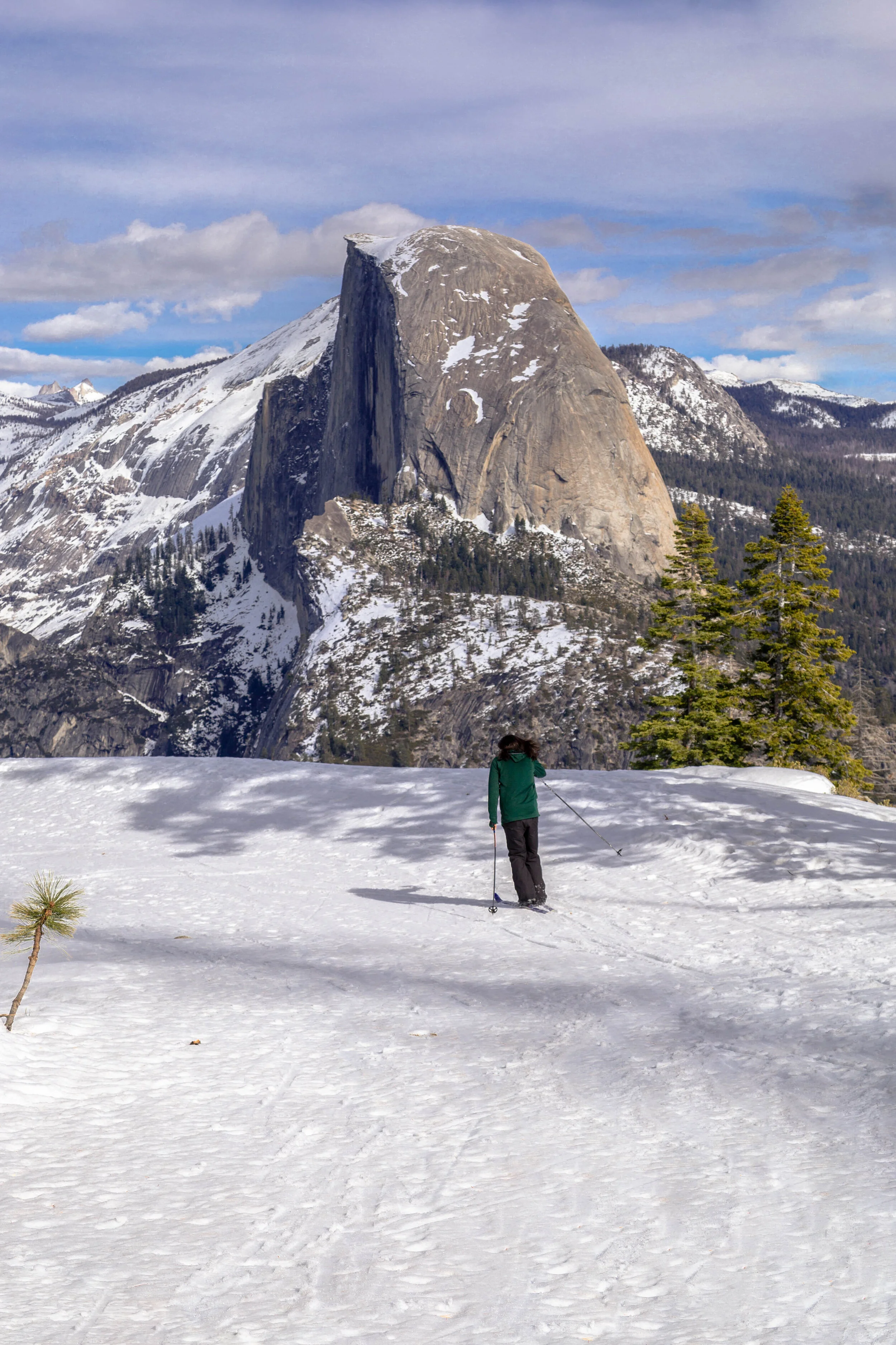 2019 — Franklinstein Photography