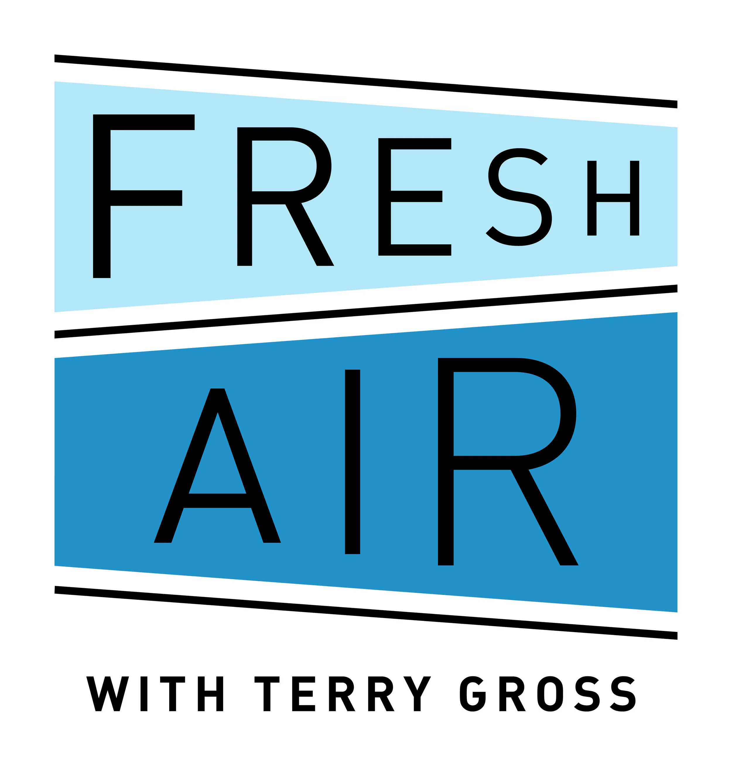 Fresh Air with Terry Gross — Matt Dorfman
