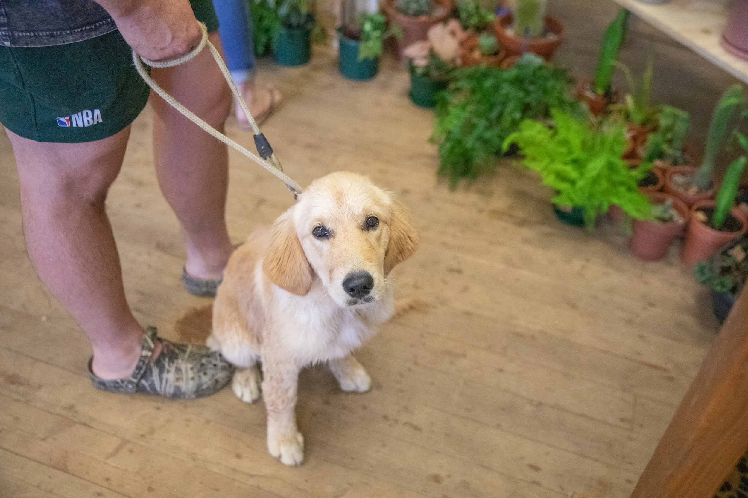 River & Wren Market | Wagga Wagga and the Riverina