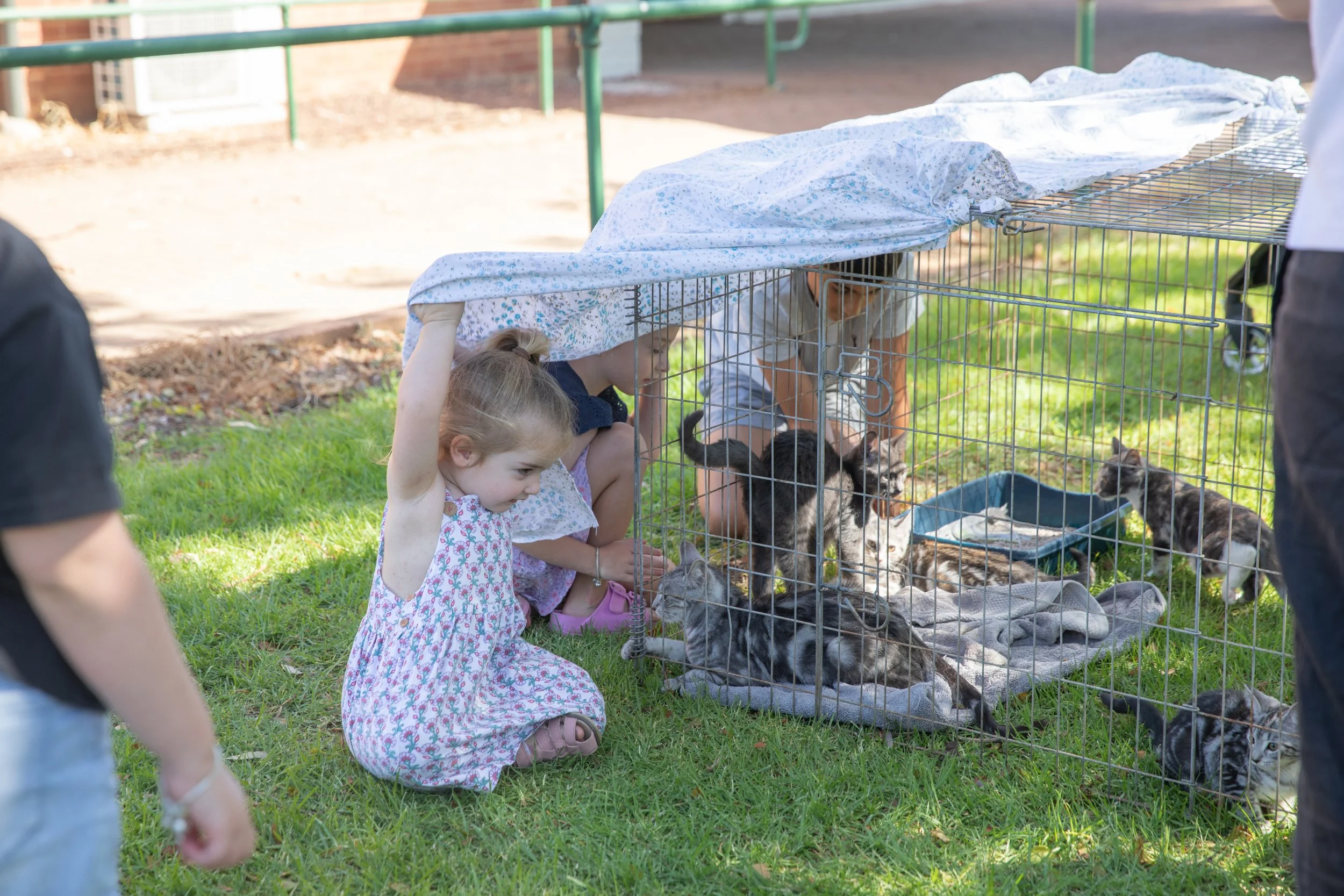 About Our Wagga Wagga Country Market — Handmade, Handcrafted and ...