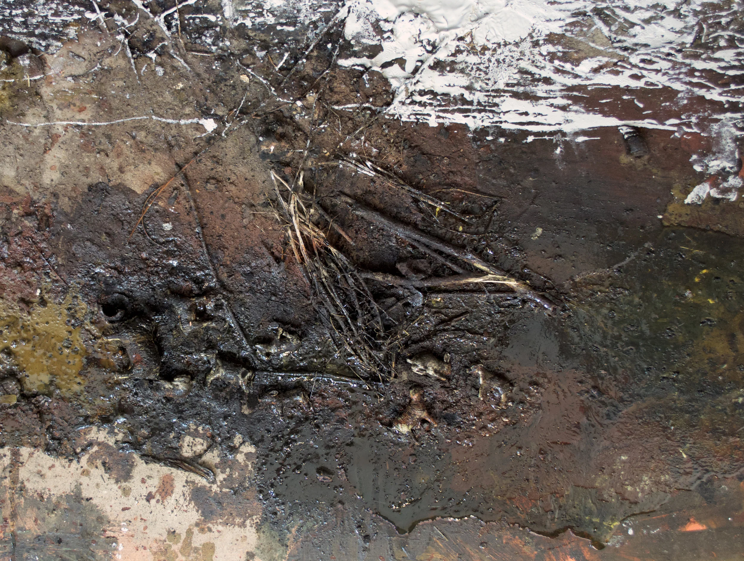 Exhibition - Andrew Hardwick 'Moor' — ANIMA MUNDI