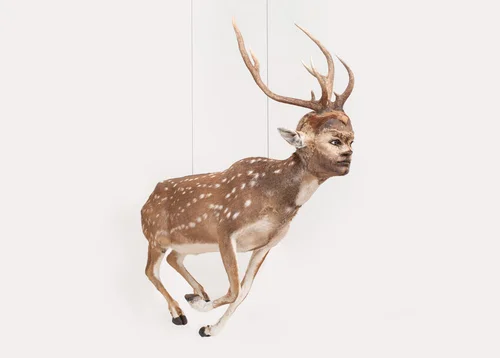 ARTISTS — ANIMA MUNDI