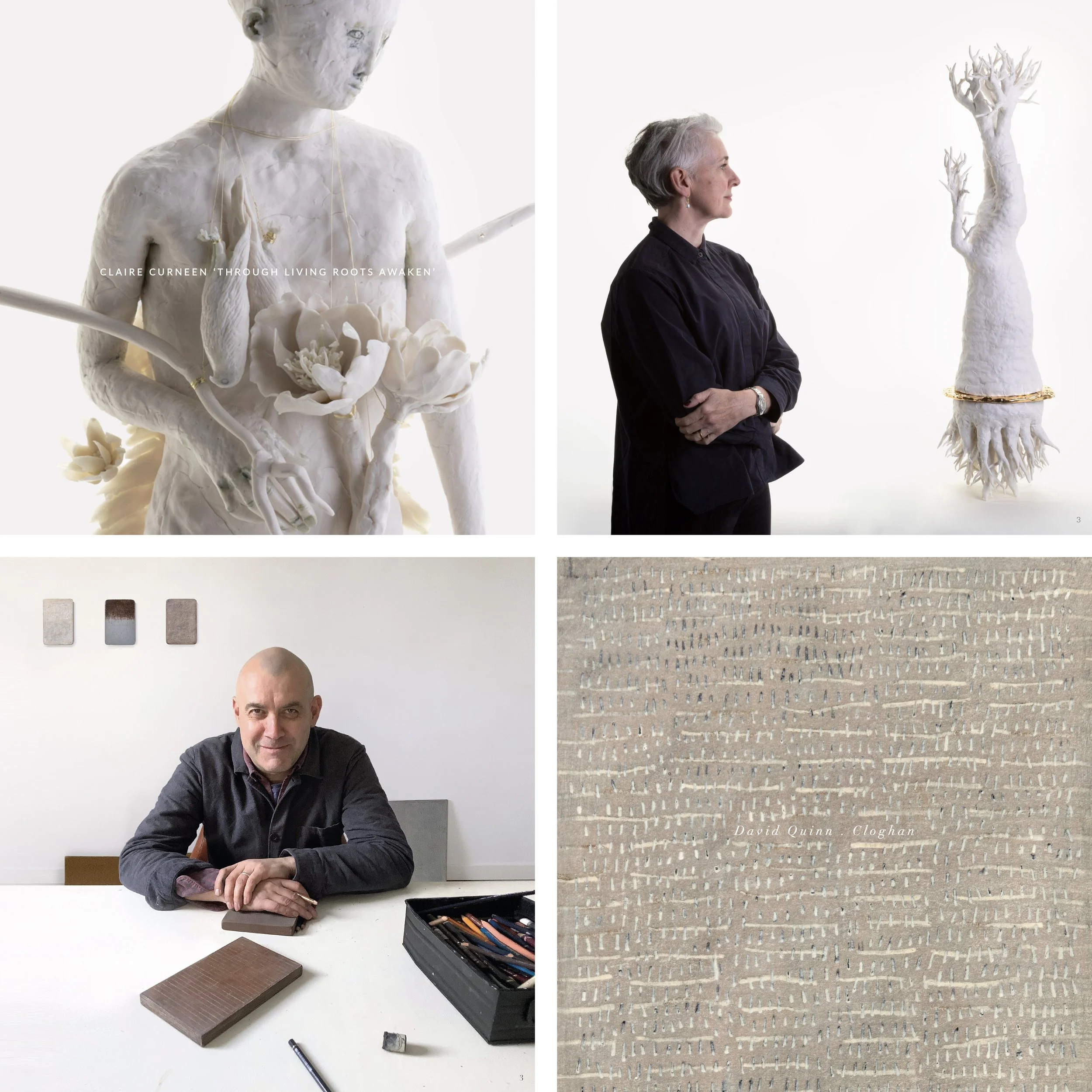 Claire Curneen - Artist Page — ANIMA MUNDI