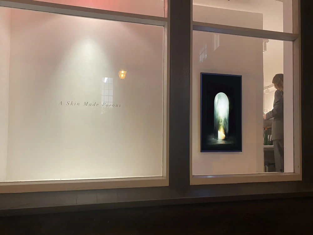 Exhibition - A Skin Made Porous — ANIMA MUNDI