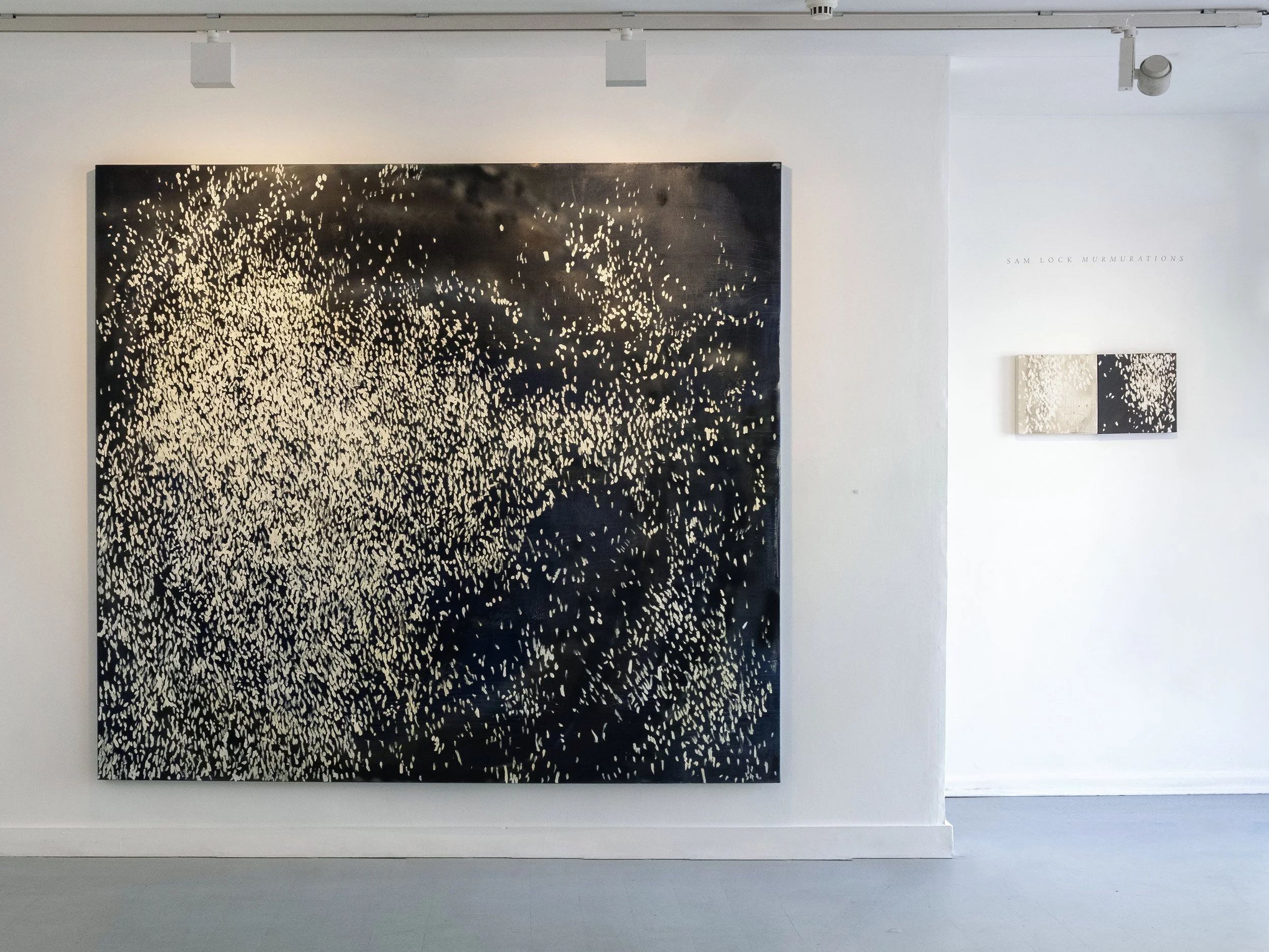 Exhibition - Sam Lock 'Murmurations' — ANIMA MUNDI