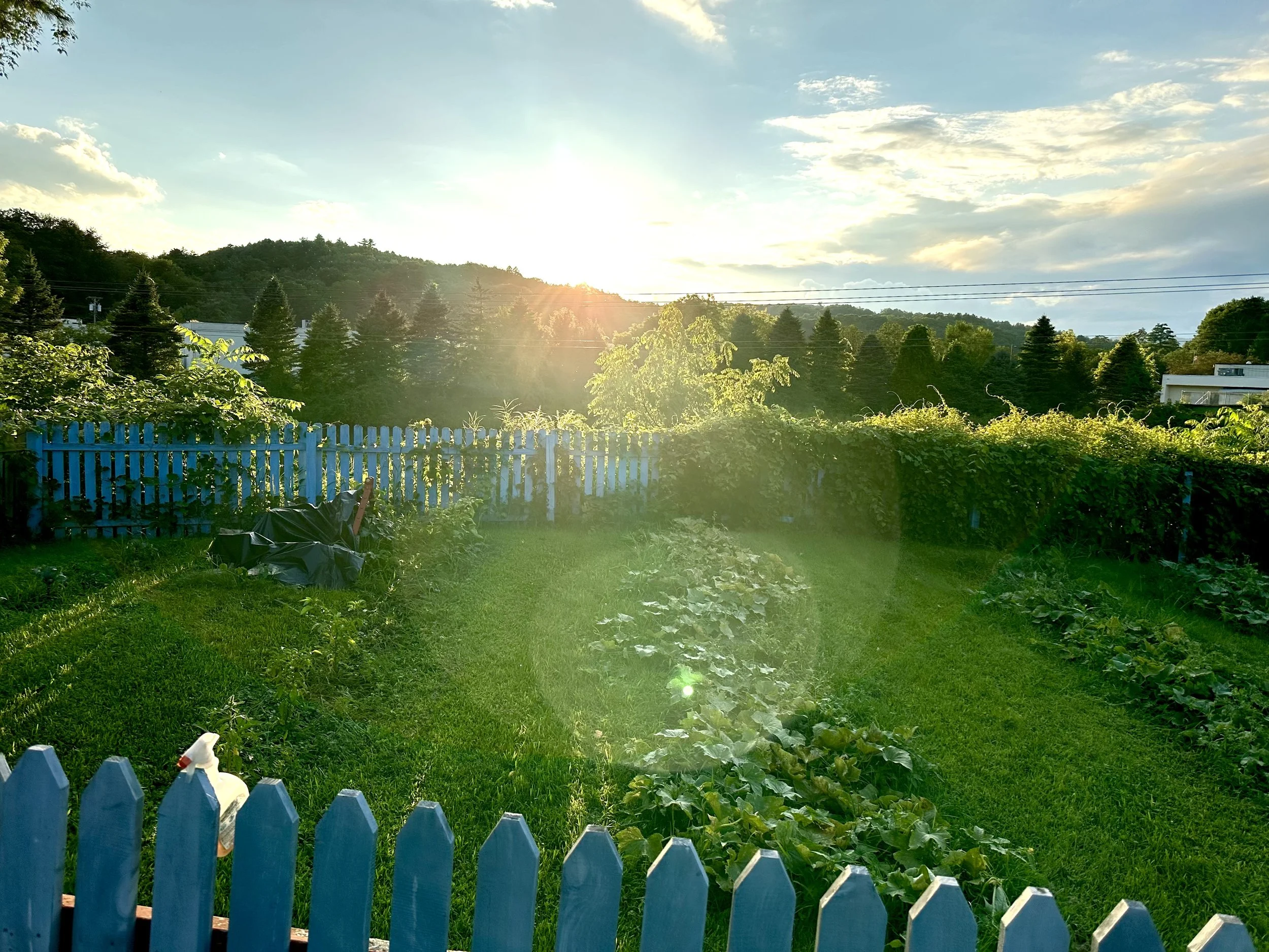 Turning Point Recovery Center of Springfield, Vermont, Inc.
