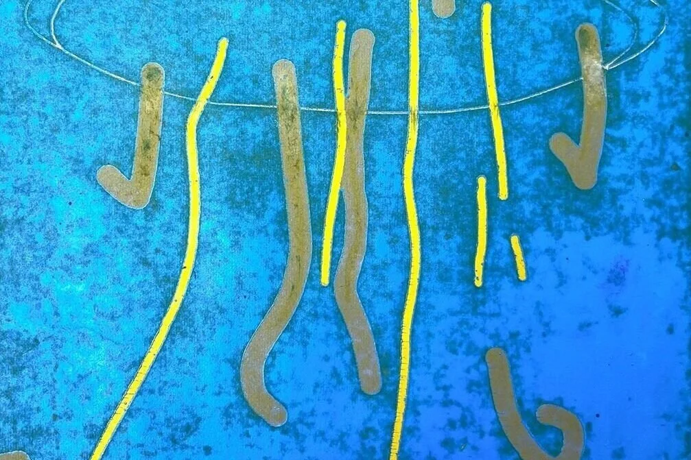 Double Elephant Print Workshop