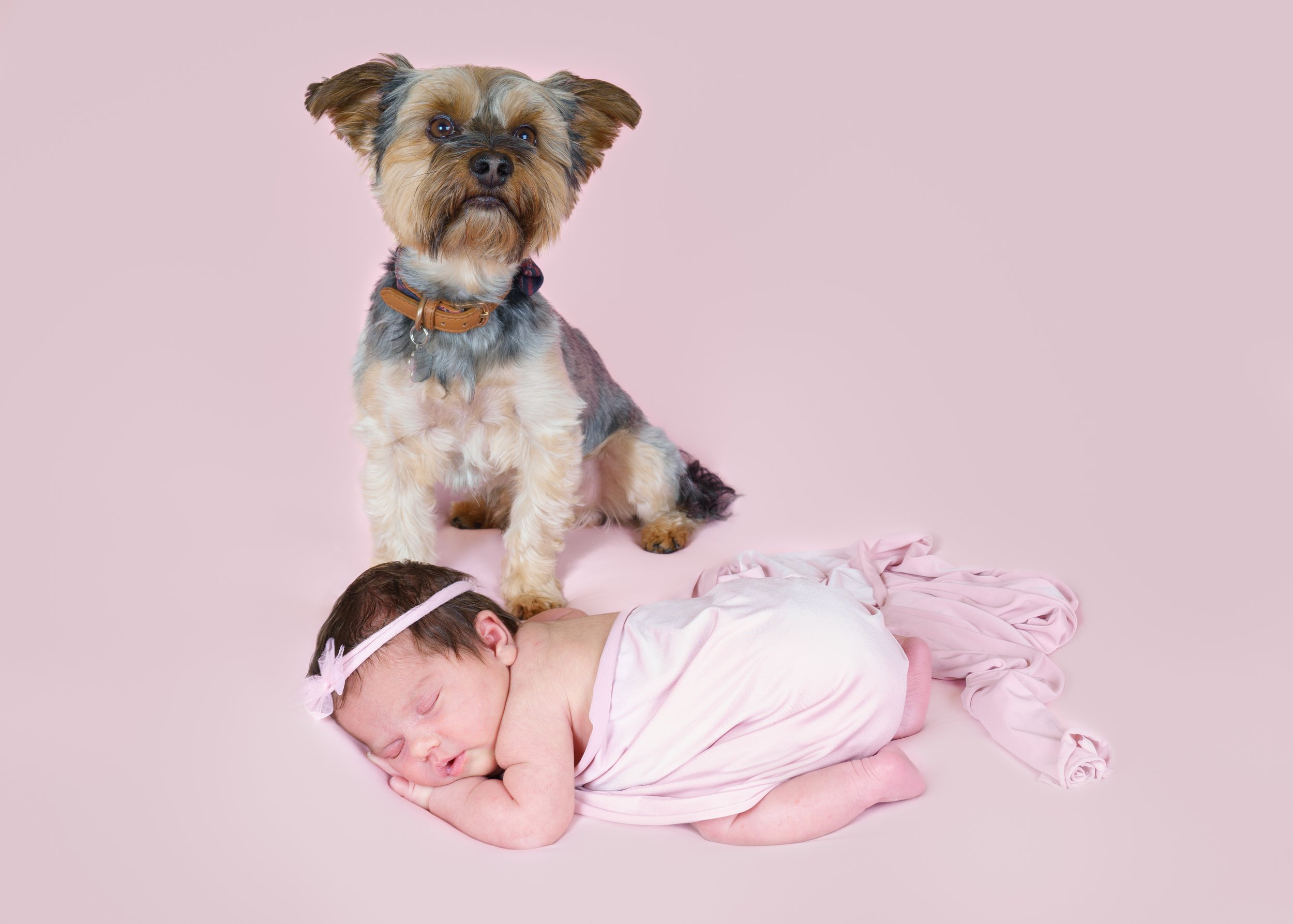 Laura Hirons Photography