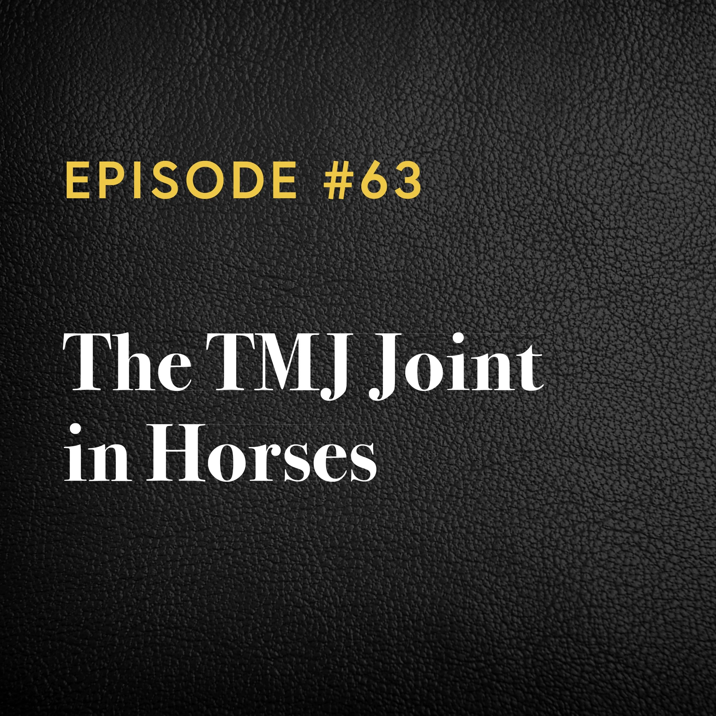 Podcast — Starline Equine Bodywork