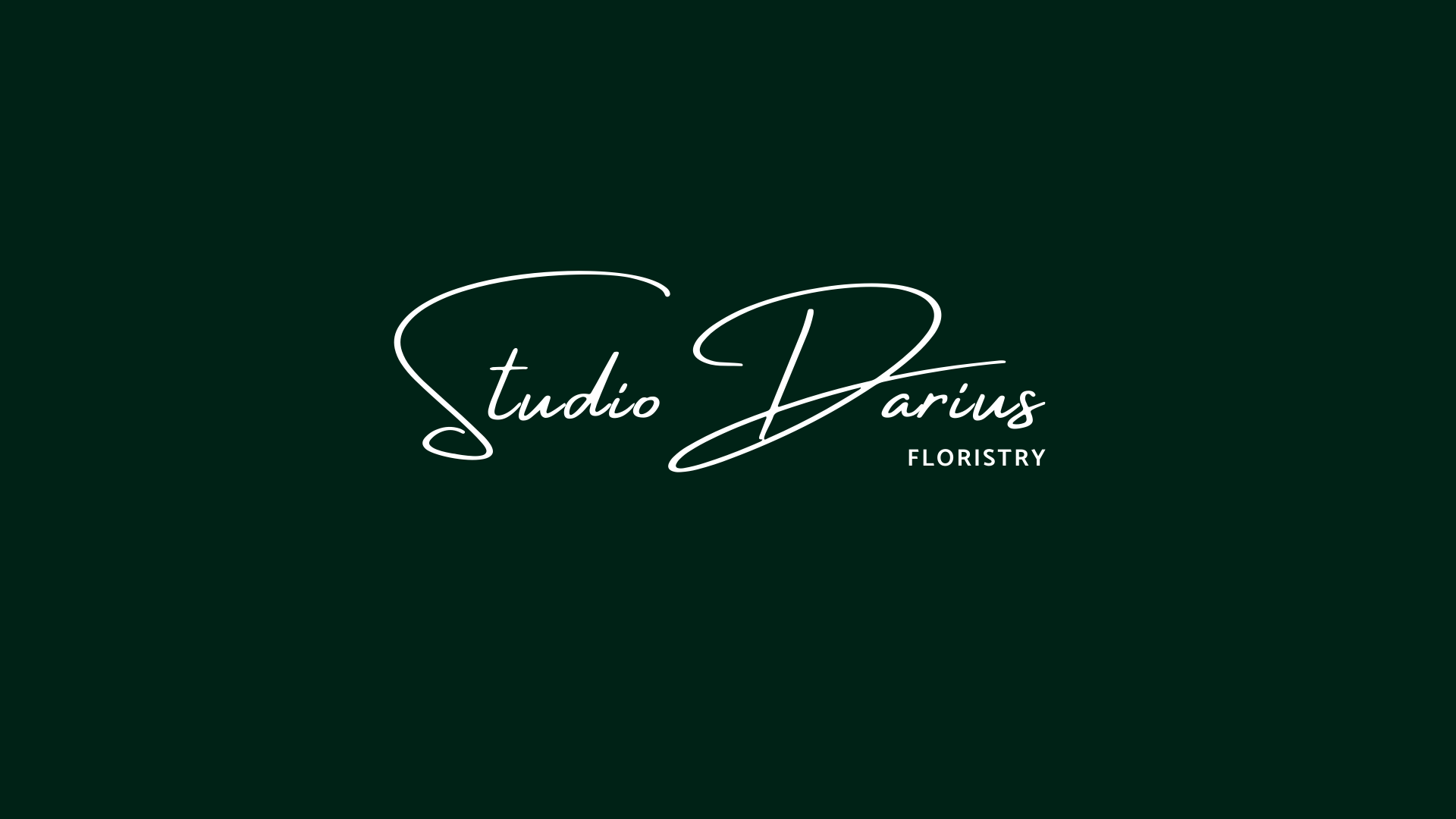 Studio Darius