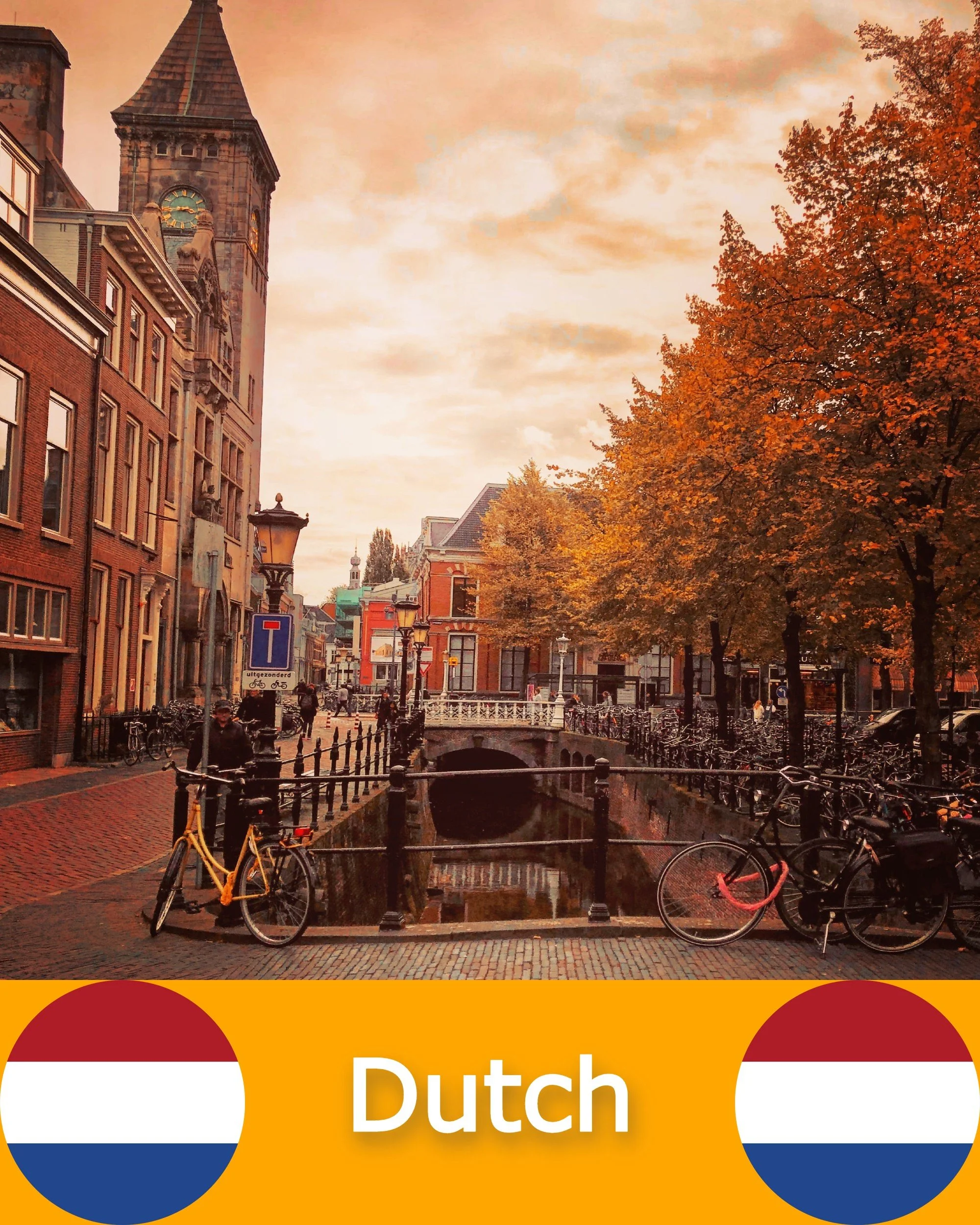 Polyglottist Language Academy: Language Classes SF Bay Area