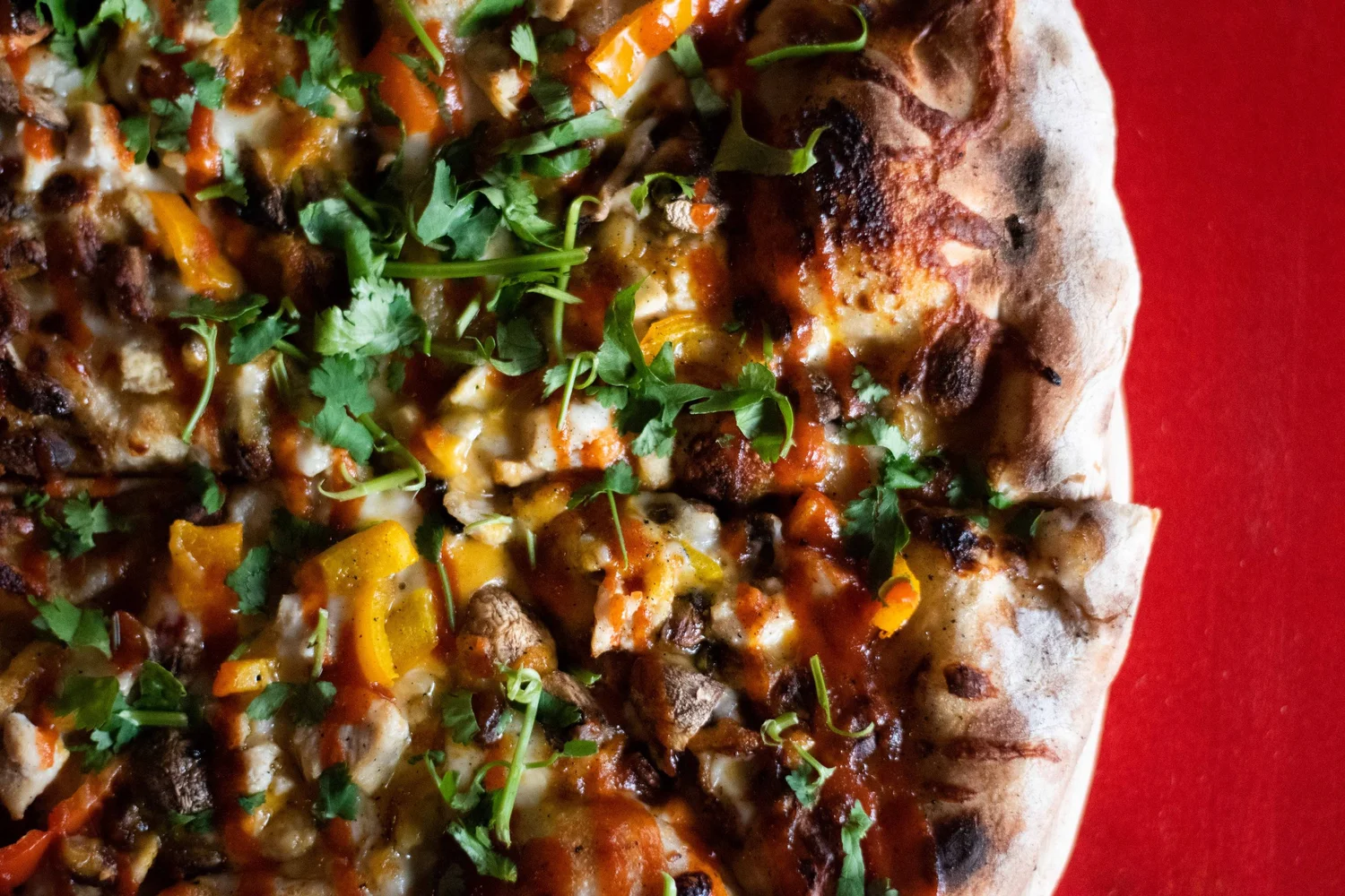 Goose and the Monkey Brew House