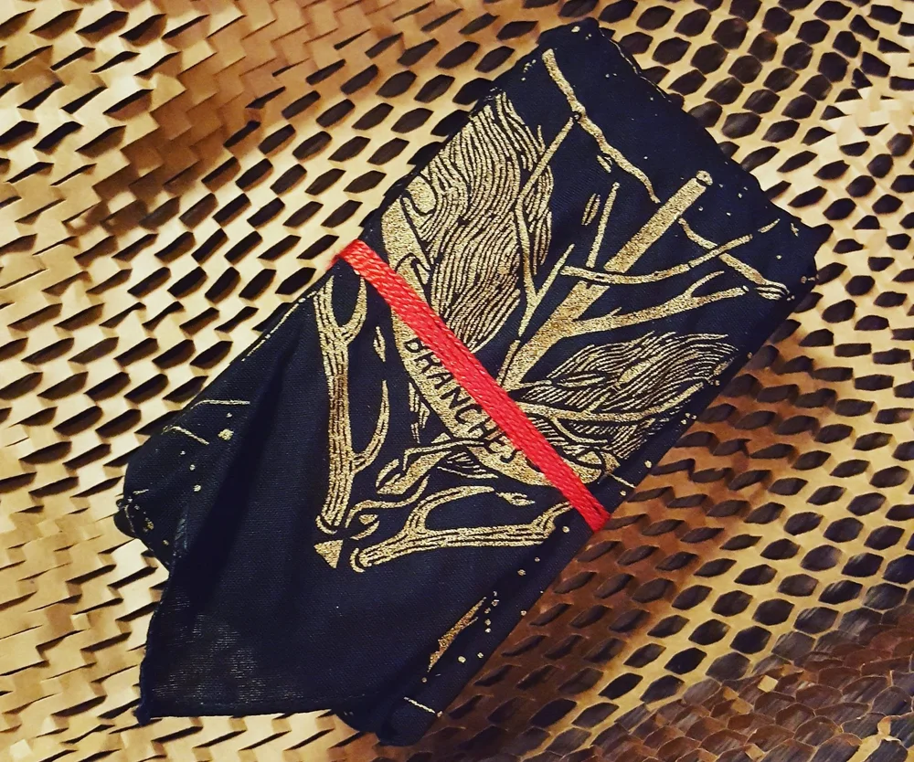Tarot of the QTPOC: Searching Within The Slow Holler Tarot, a deck ...
