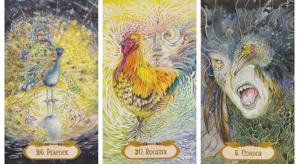 deck review: Winged Enchantment Oracle — Asali Earthwork