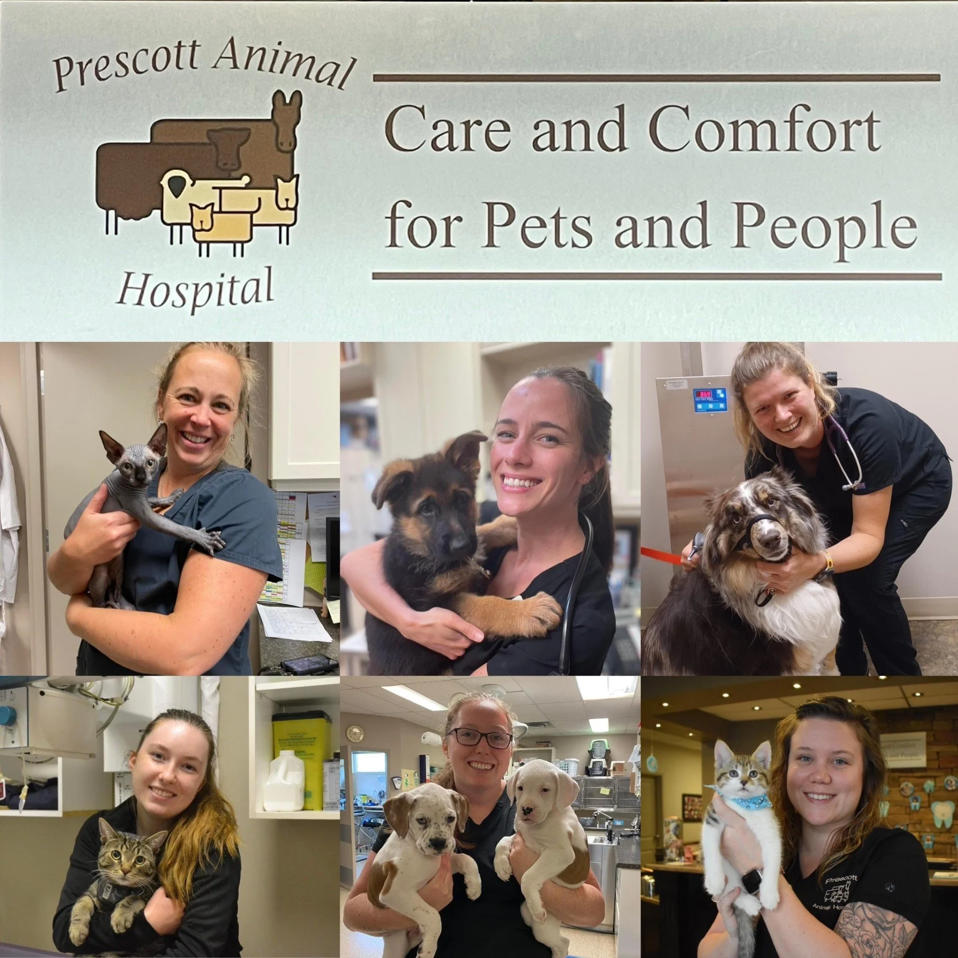 Prescott Animal Hospital