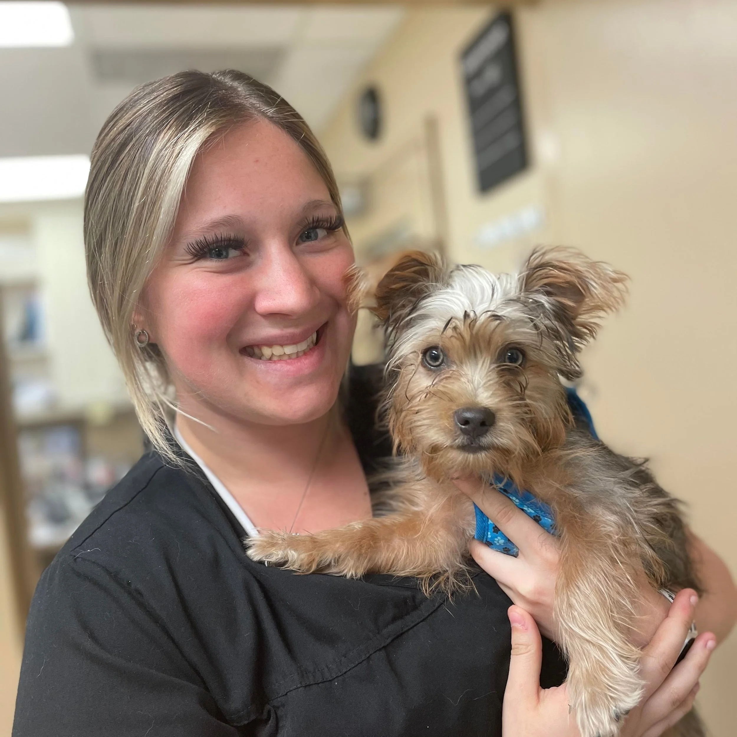 Our Team — Prescott Animal Hospital