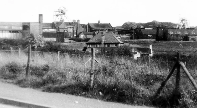 Albert Lees 1896 - 1917 — Burntwood Family History Group