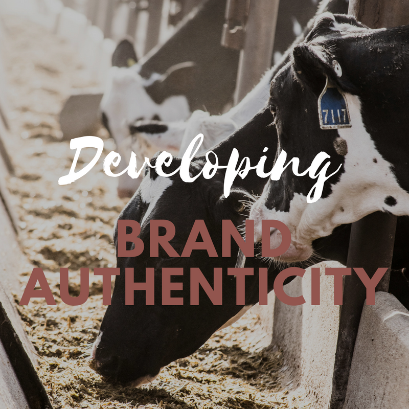 How To Develop an Authentic Brand Presence — Prairie View Creative