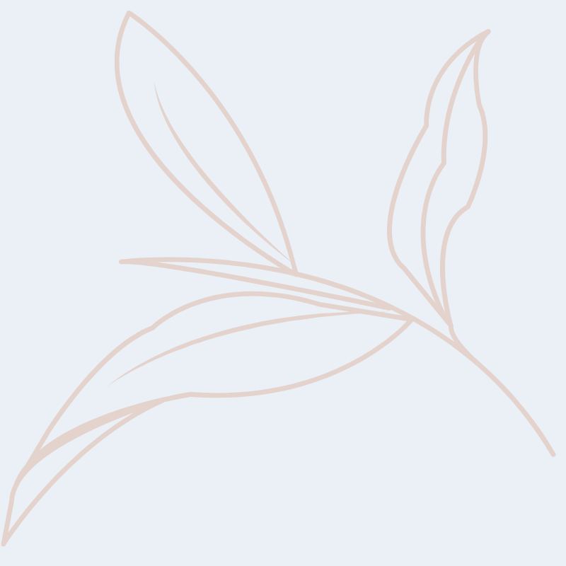 Grace Behavioral Health, Counseling & Therapy in Belvidere, New Jersey