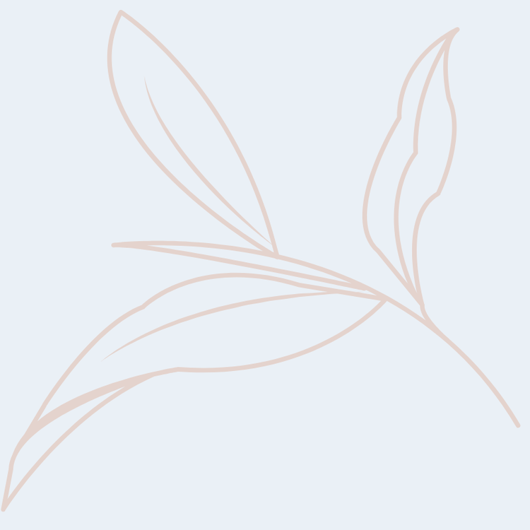 Grace Behavioral Health, Counseling & Therapy in Belvidere, New Jersey