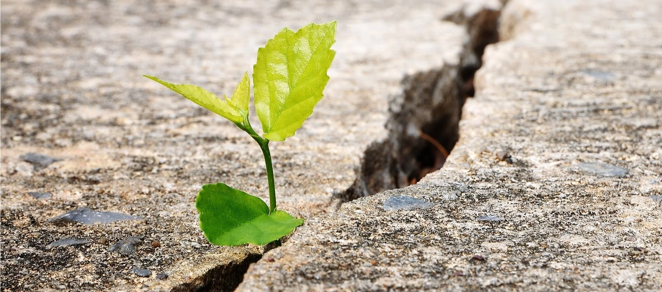 Grace Behavioral Health, Counseling & Therapy in Belvidere, New Jersey