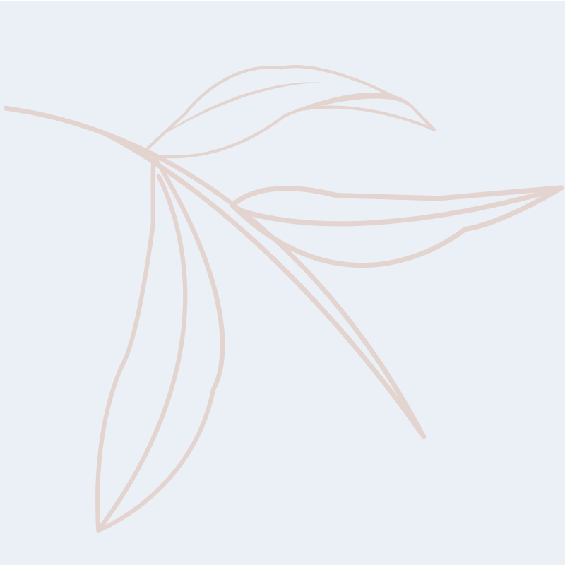 Grace Behavioral Health, Counseling & Therapy in Belvidere, New Jersey