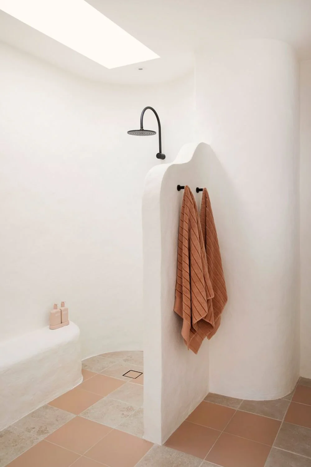 9 Shower Screen Design Ideas To Level-Up Your Bathroom — Zephyr + Stone