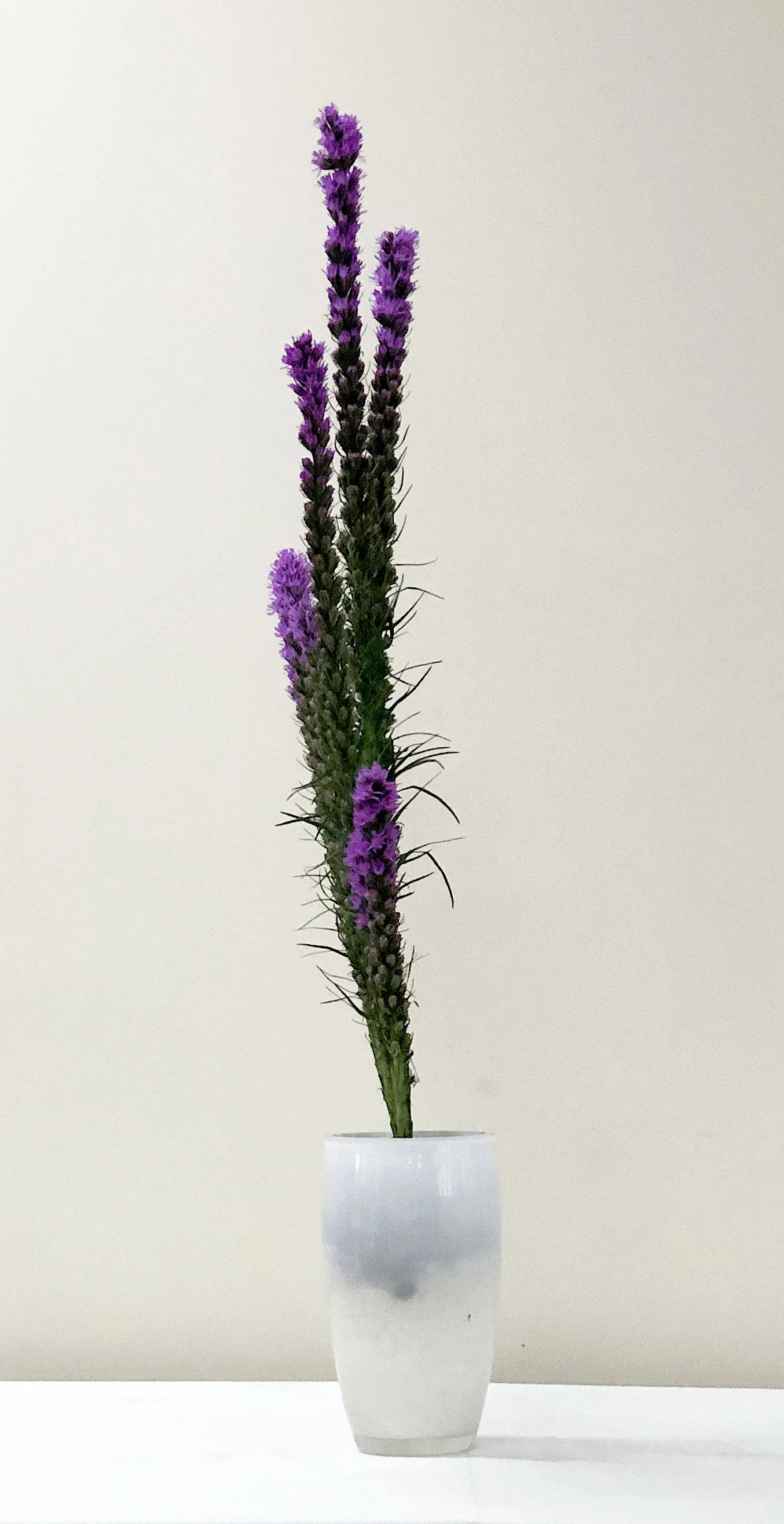 Suiriku-ike and Shoka Isshuike Workshop — Ikenobo Ikebana Society of Boston