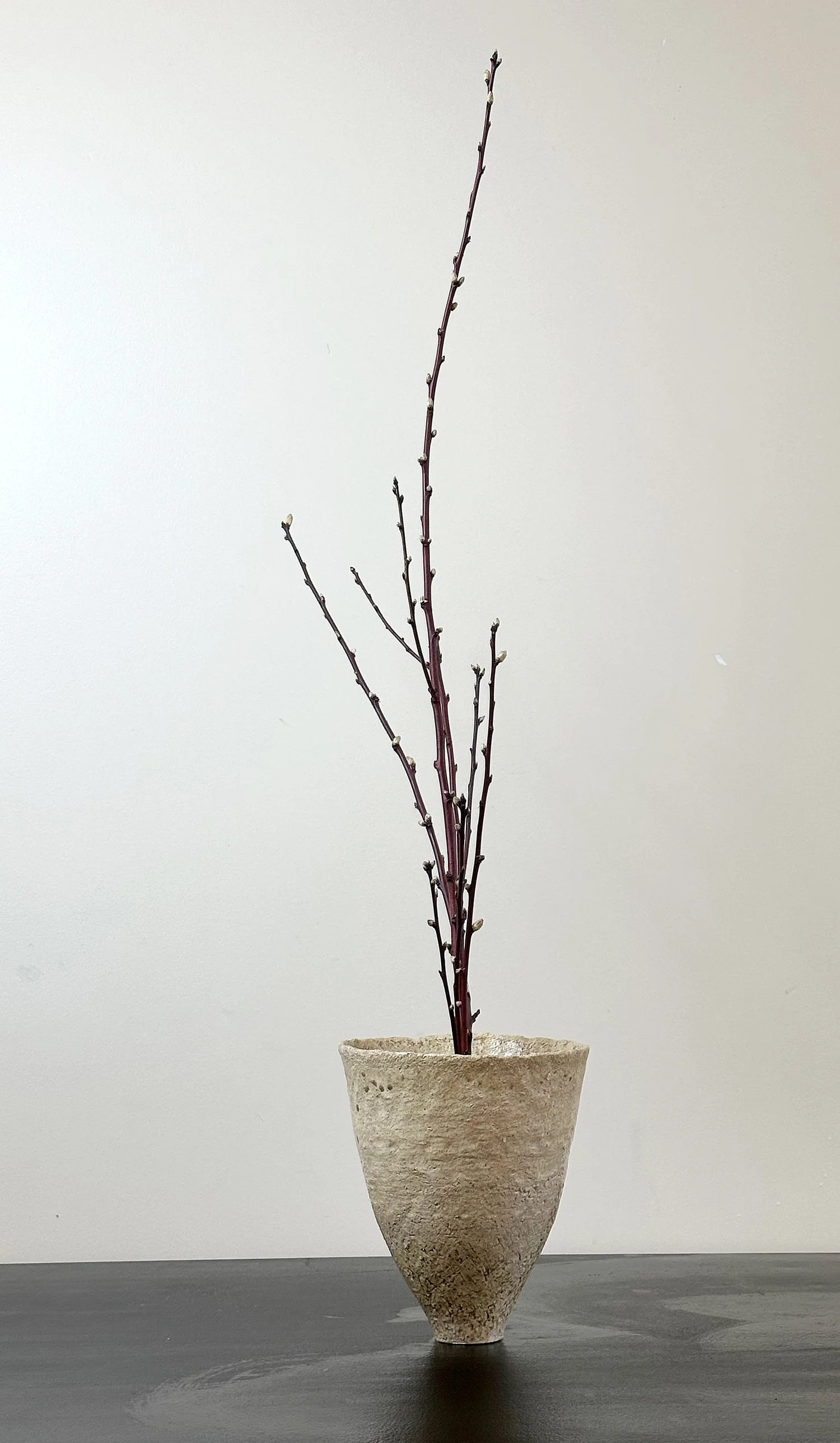March 2023: Isshuike and Jiyuka — Ikenobo Ikebana Society of Boston