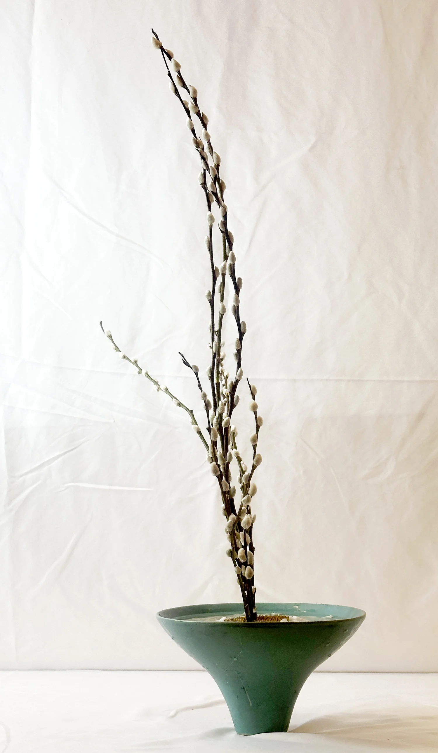 Shoka Shofutai and Shoka Sanshuike March 2024 — Ikenobo Ikebana Society ...
