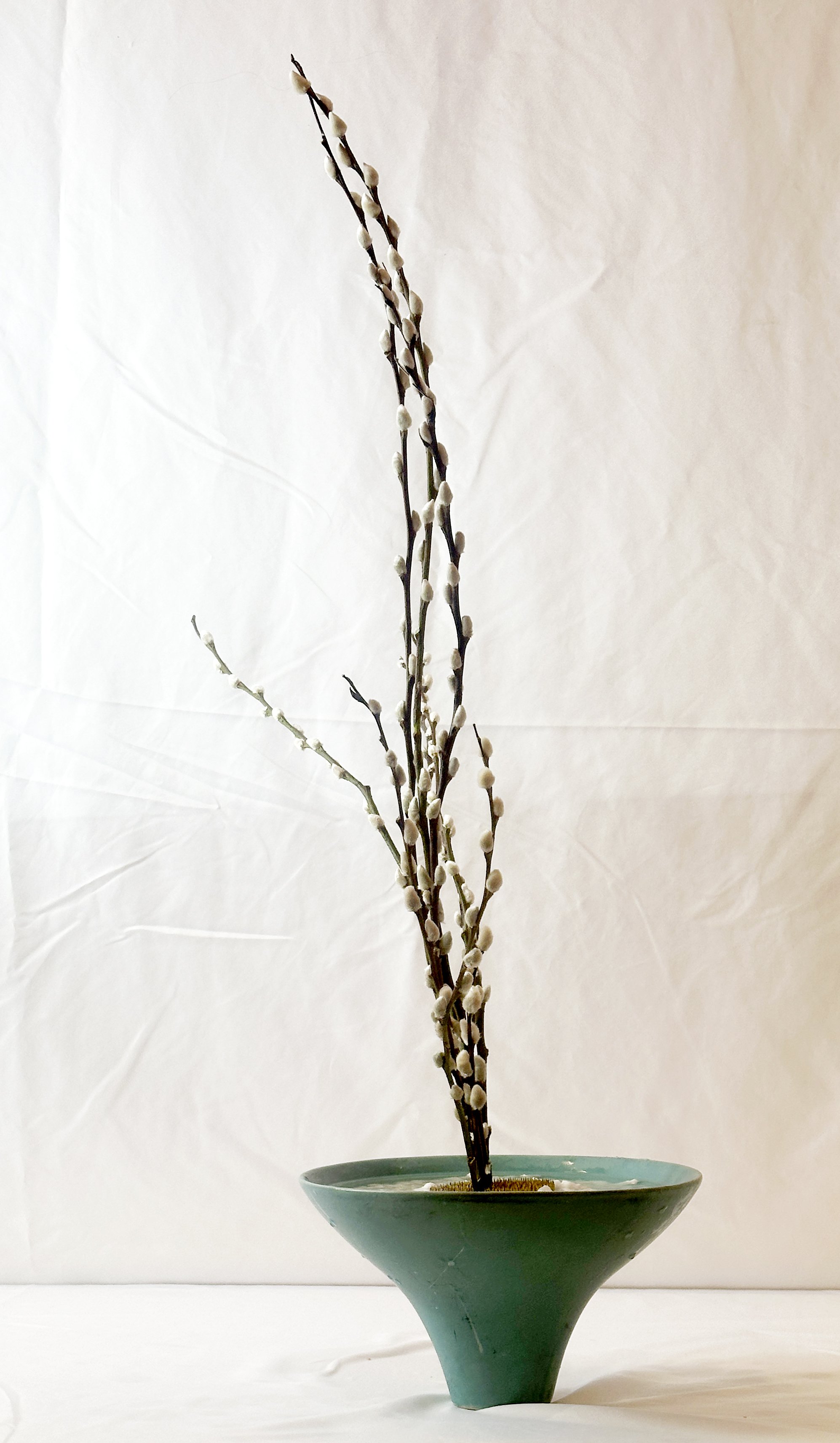 Shoka Shofutai and Shoka Sanshuike March 2024 — Ikenobo Ikebana Society ...