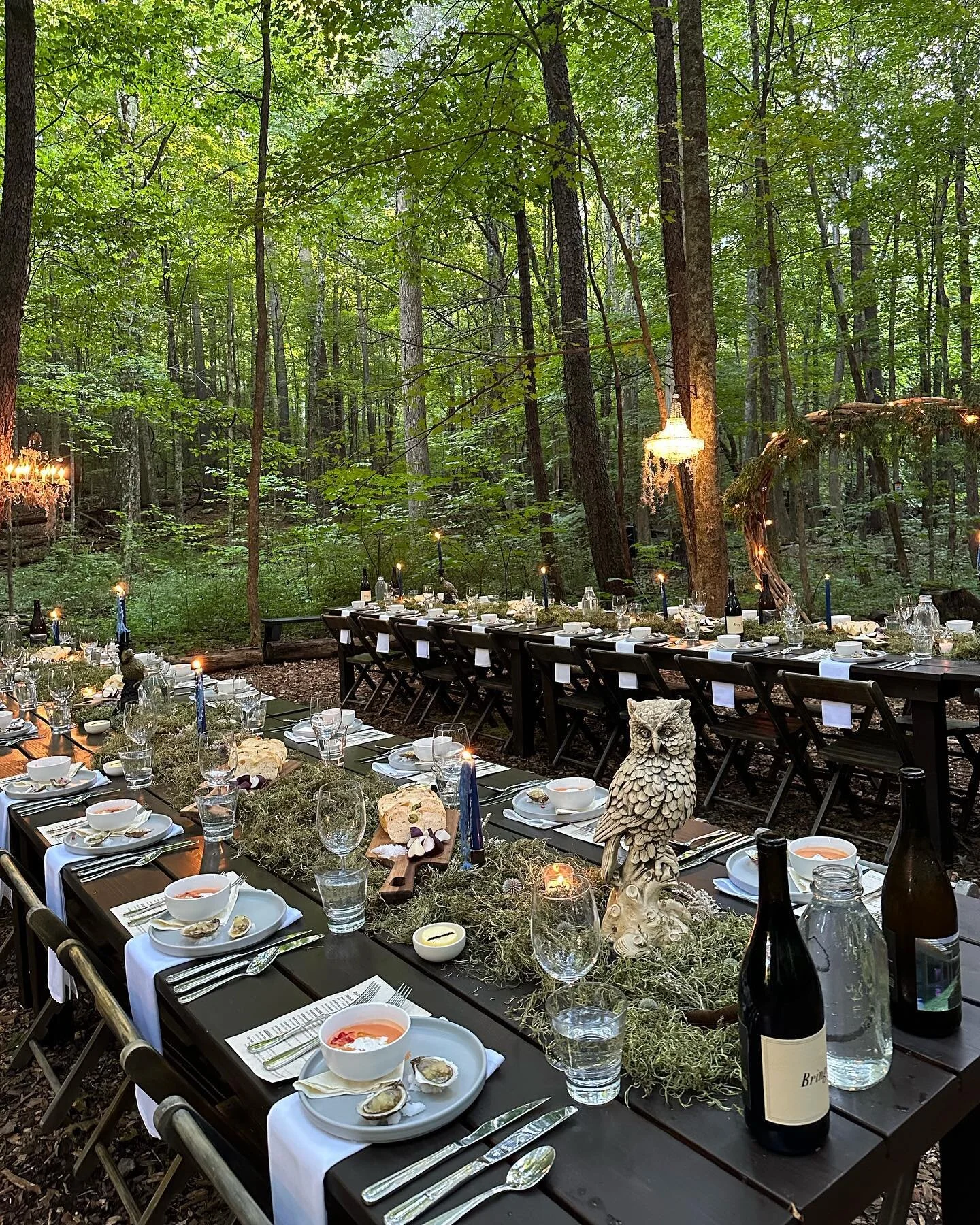 Foxfire Mountain House