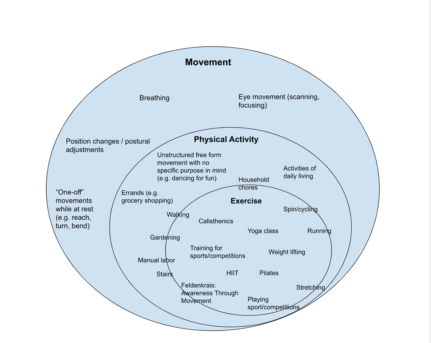 Movement, Physical Activity, & Exercise: Comparing and Contrasting ...