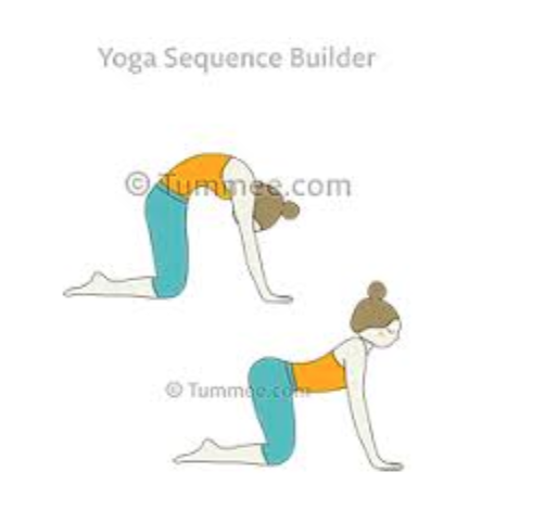 How Your Spine Moves And The Importance of Moving It (Part 1) — The ...
