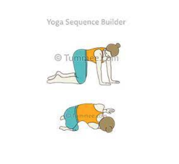 How Your Spine Moves And The Importance of Moving It (Part 1) — The ...