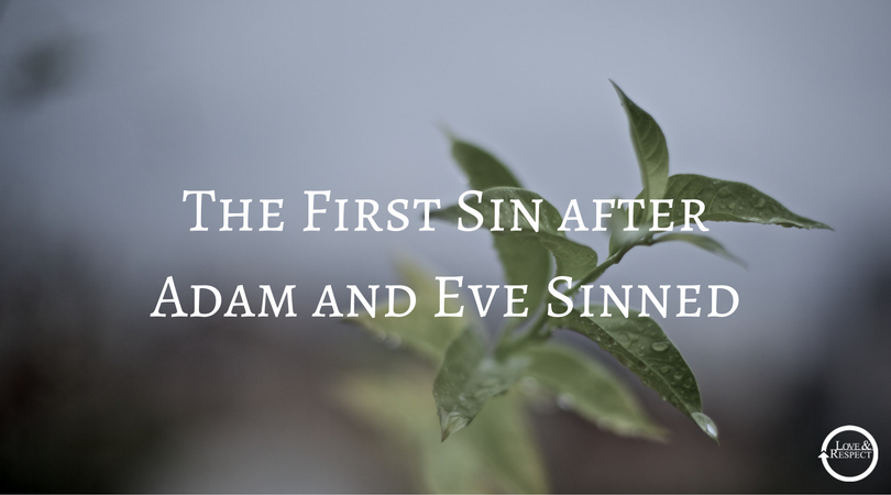 The First Sin after Adam and Eve Sinned — Love & Respect