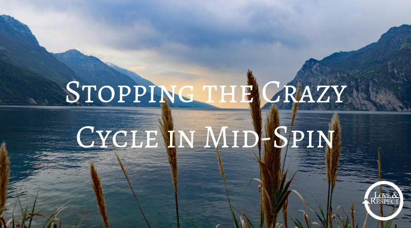 Stopping the Crazy Cycle in Mid-Spin — Love & Respect