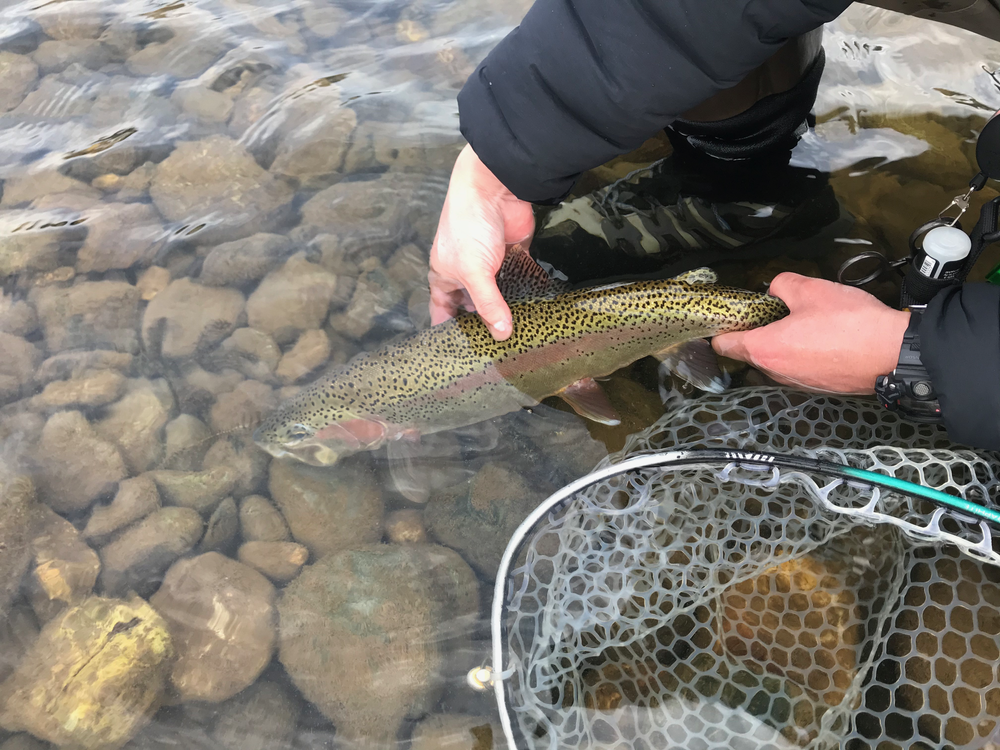 Introduction: Why Aren’t We Better Fly Casters? — CV Optometry