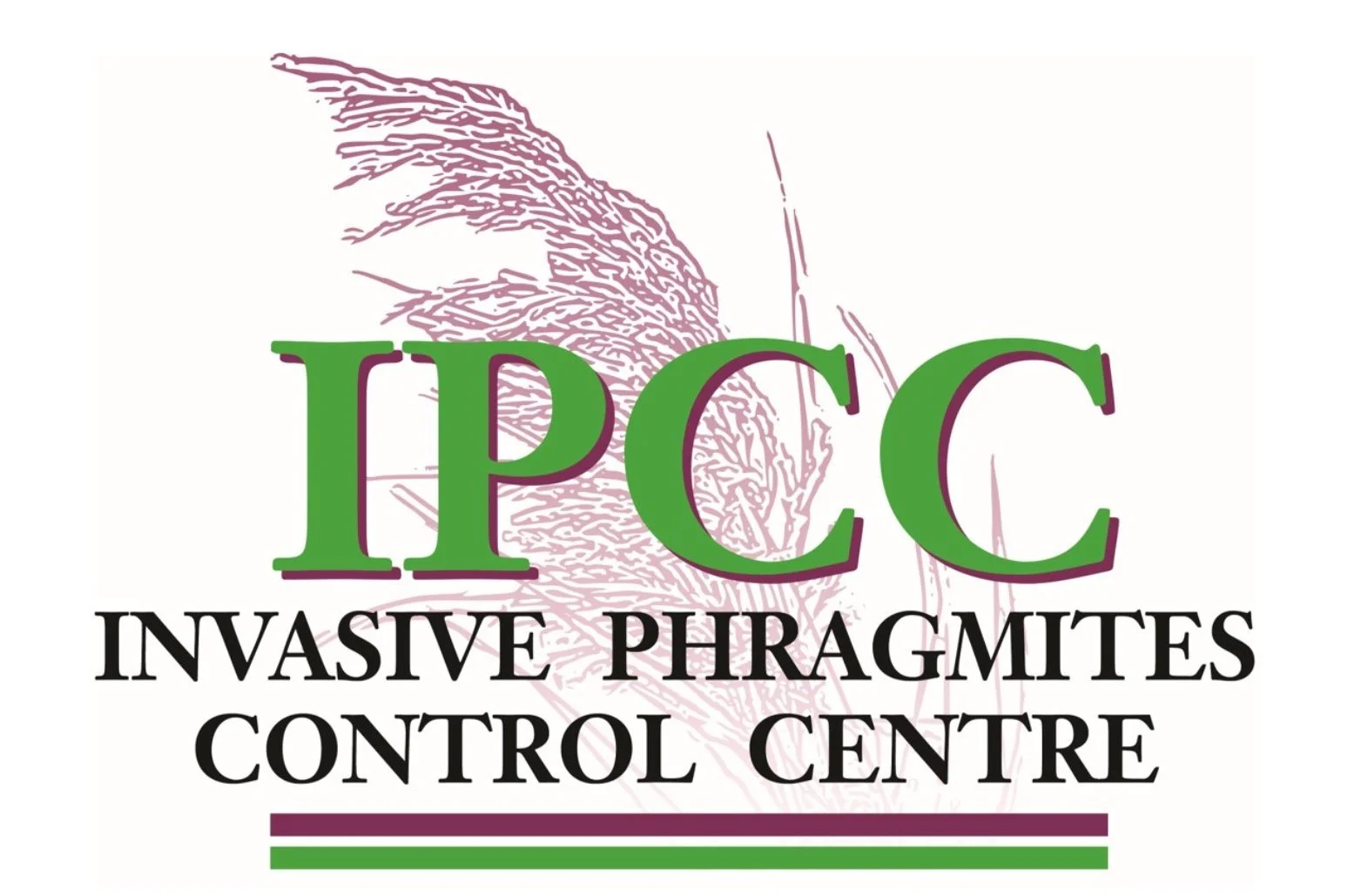 Invasive Phragmites Control Centre