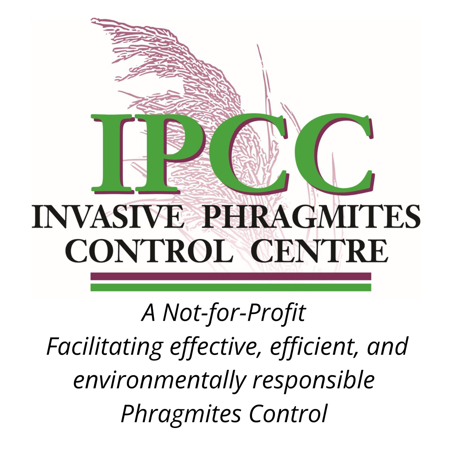 Contact — Invasive Phragmites Control Centre