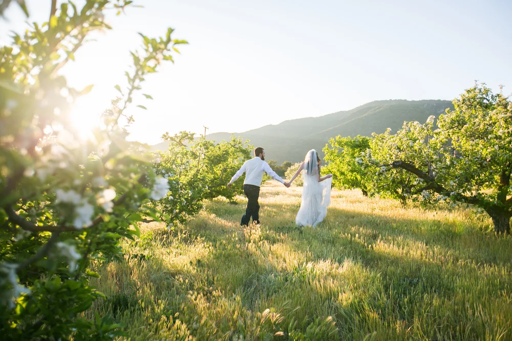 About — Mile High Oaks