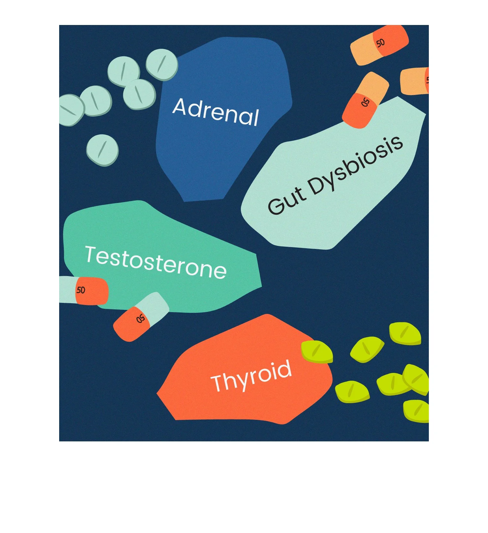 Digital Illustration — Lauren Jane Studio // Brand Design + Illustration