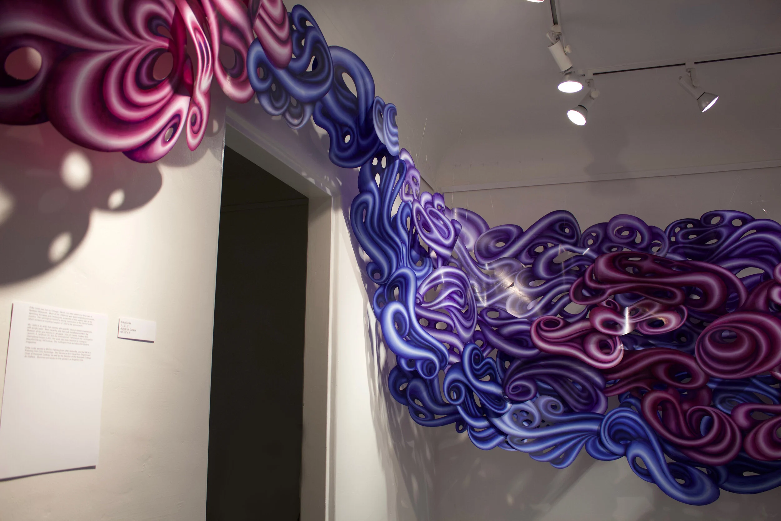 Installation — Erika Lizée