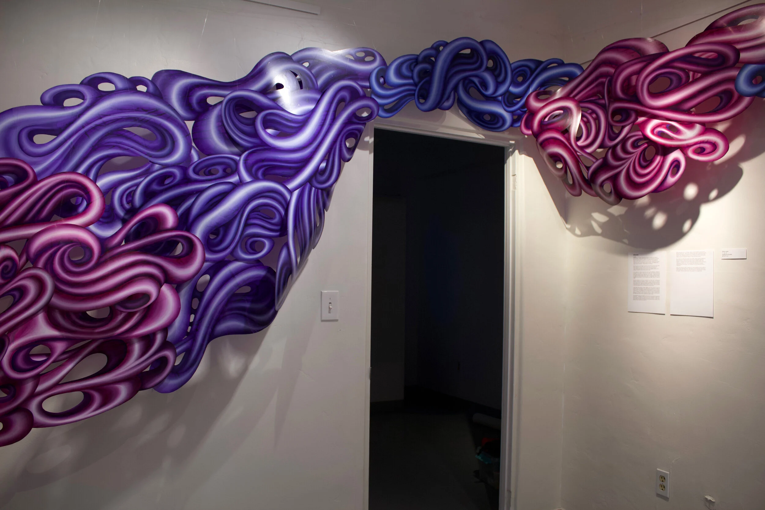 Installation — Erika Lizée