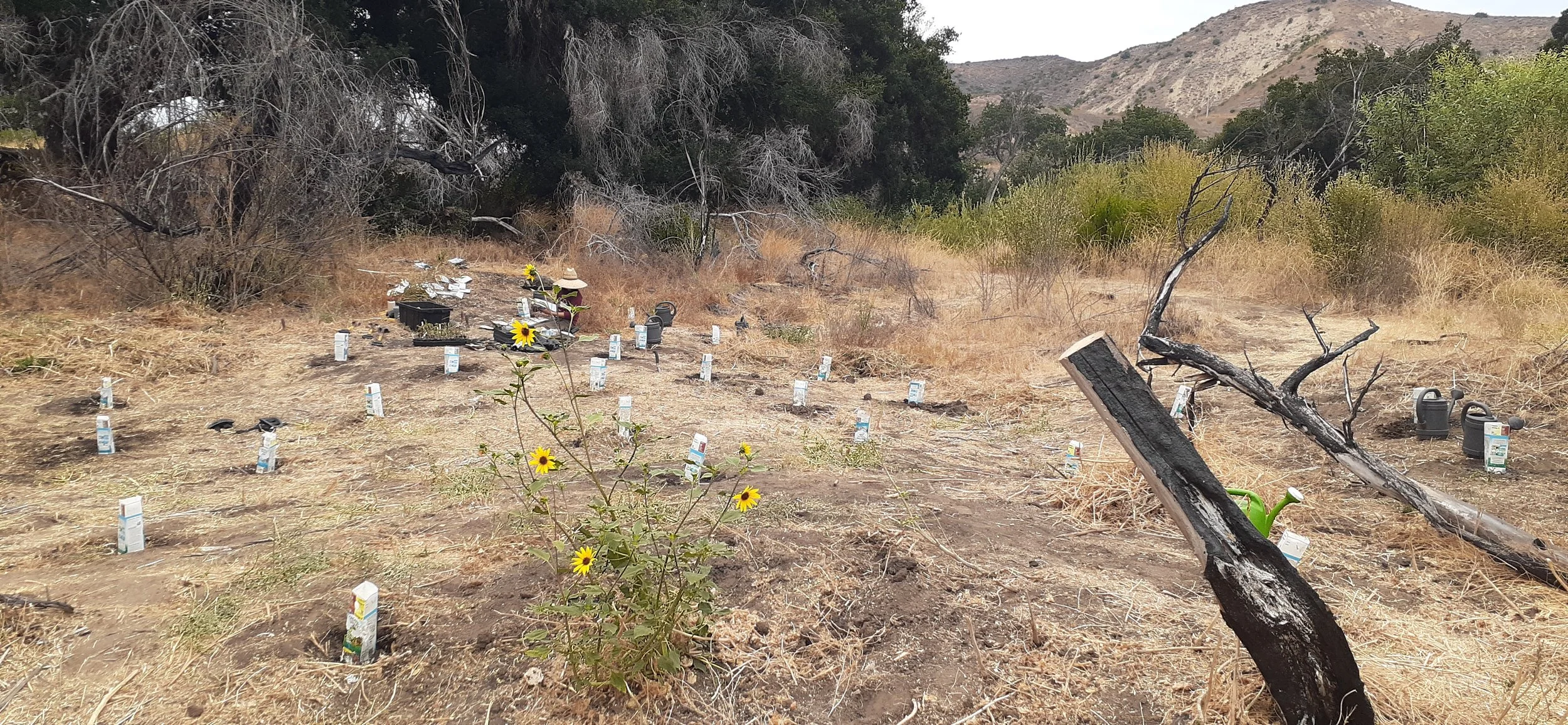 About Volunteering — Open Hearts Foundation