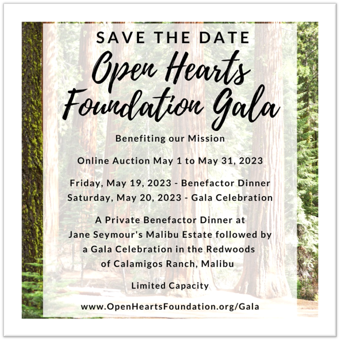 Open Hearts Foundation