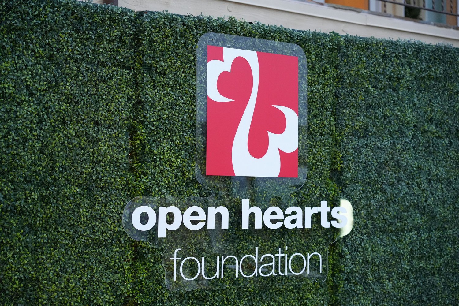 Gala 2026 — Open Hearts Foundation