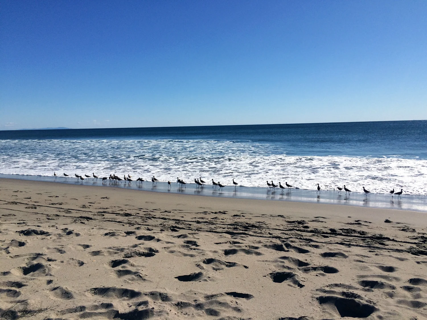 Limantour Beach — Point Reyes Nature
