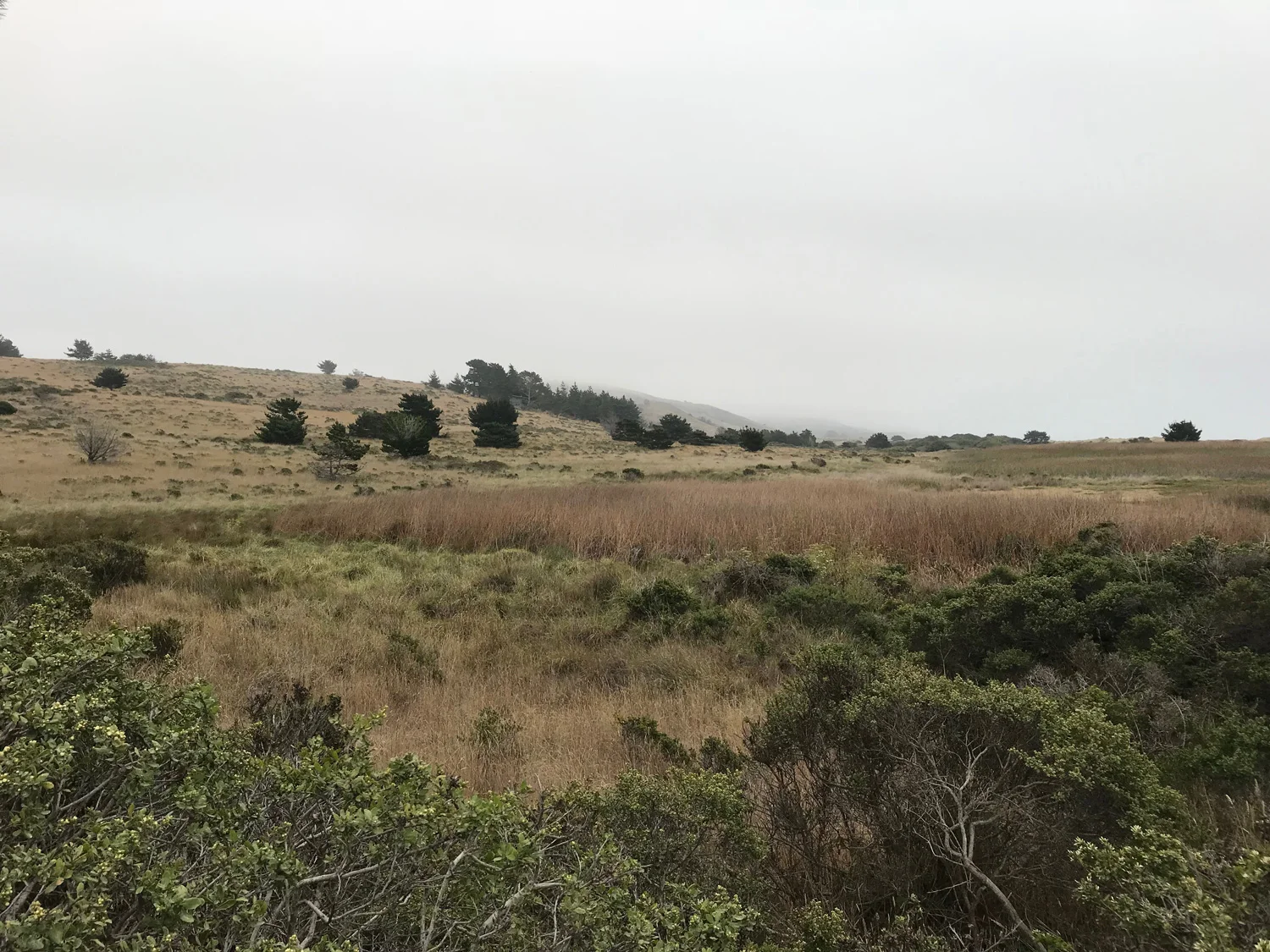 Limantour Beach — Point Reyes Nature